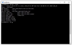 What is WP-CLI? A Beginner's Guide | ScalaHosting Blog