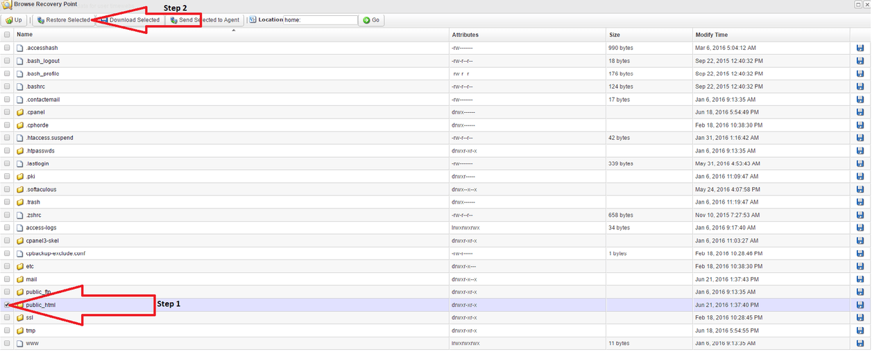How do I restore my files from cPanel? - Knowledge base - ScalaHosting