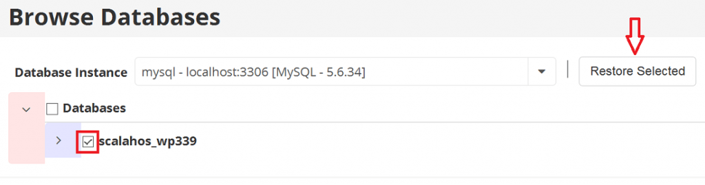 How to restore my data from backups? - Knowledge base - ScalaHosting