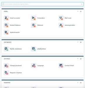 View My DNS Settings - Knowledge base - ScalaHosting